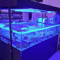 Uv Glass Bonding – 4 Ways Glass Industries (PTY) LTD