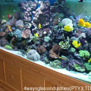 Fish Tanks – 4 Ways Glass Industries (PTY) LTD